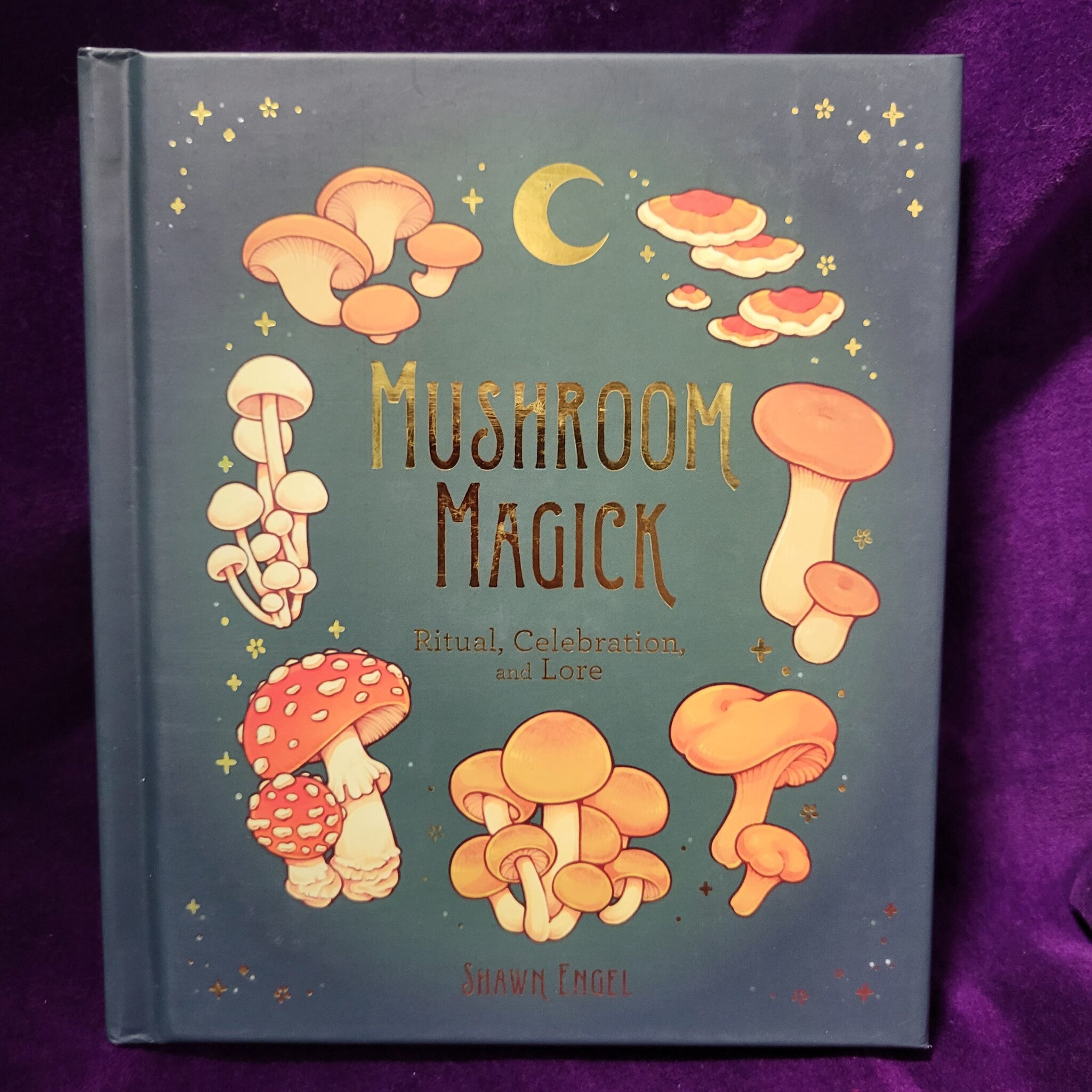 Mushroom Magick: Ritual, Celebration, and Lore by Shawn Engel - Into ...
