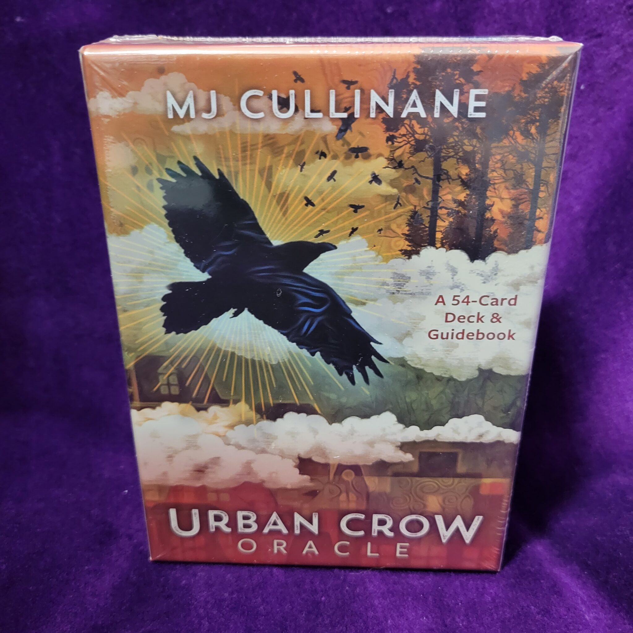 Urban Crow Oracle by MJ Cullinane - Into the Mystic Shop